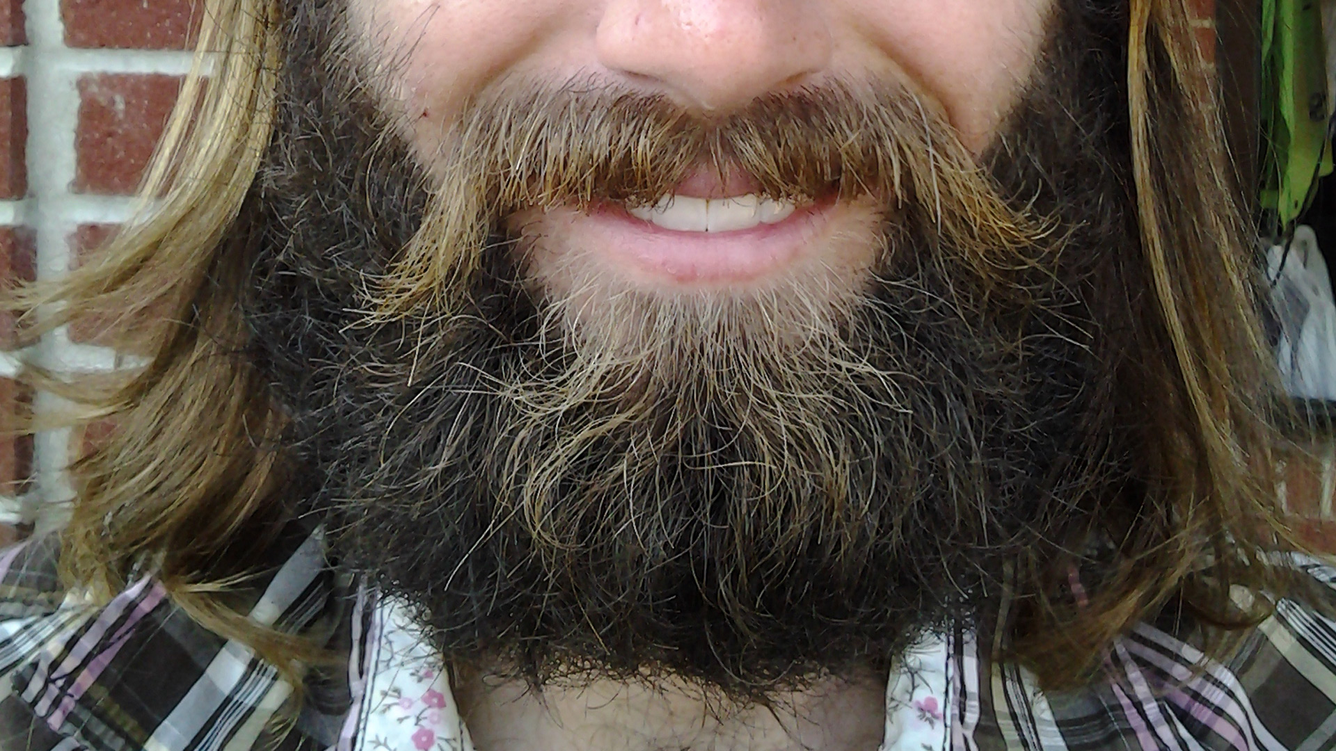 The Beard Update - Appalachian Trail Thru-Hike 2012 Blog